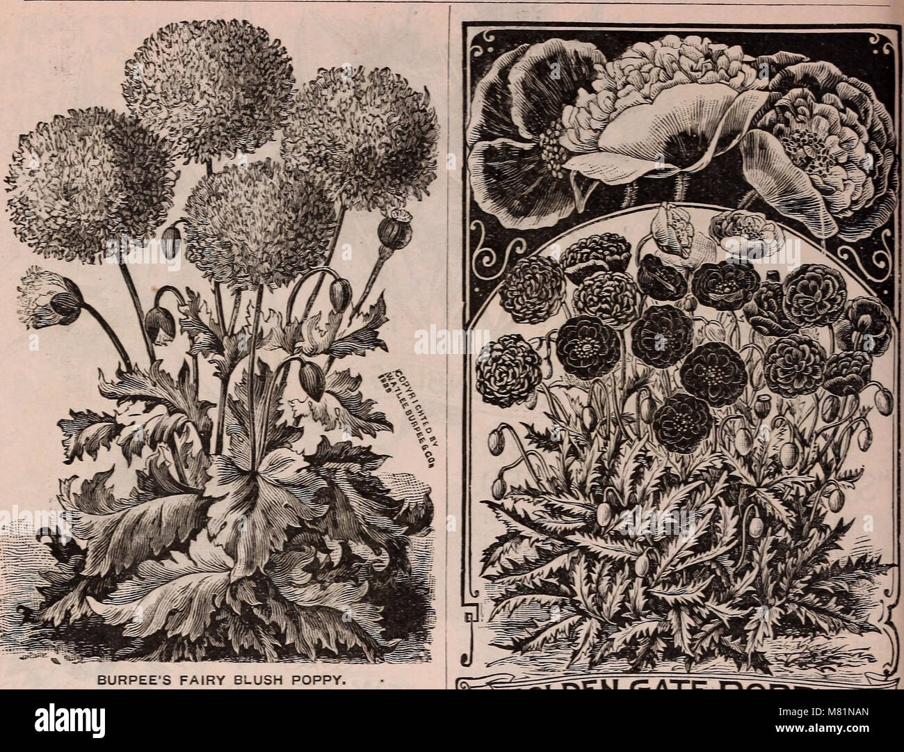 Burpee's Farm Annual (1892) provides detailed guidance on farming ...