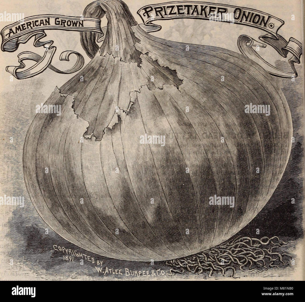 'Burpee's Farm Annual' (1892) is an agricultural guide providing tips ...