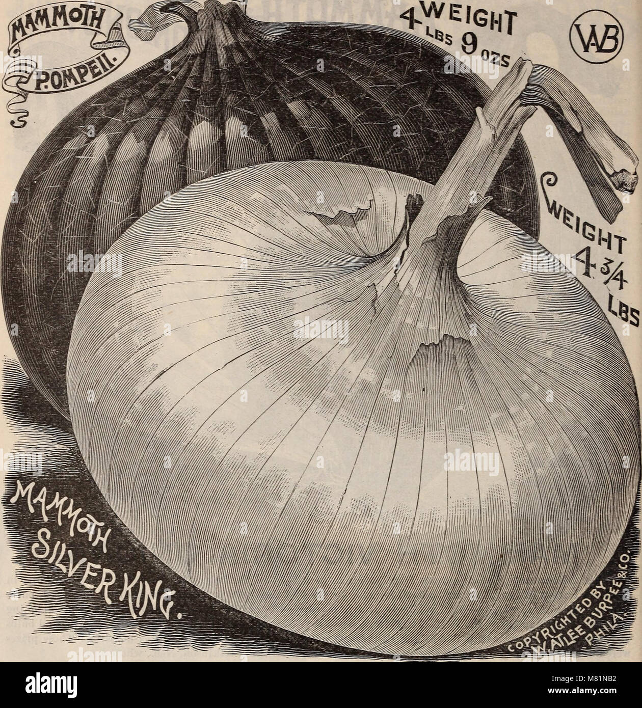 Burpee's farm annual, 1892 (1892) (20322835600 Stock Photo - Alamy