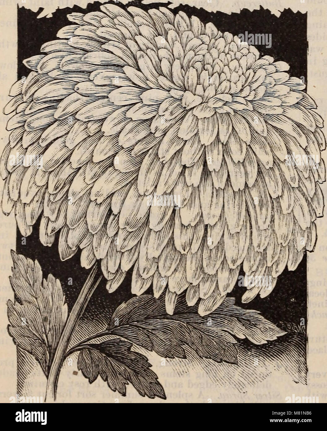 Burpee's farm annual, 1892 (1892) (20323389498 Stock Photo - Alamy