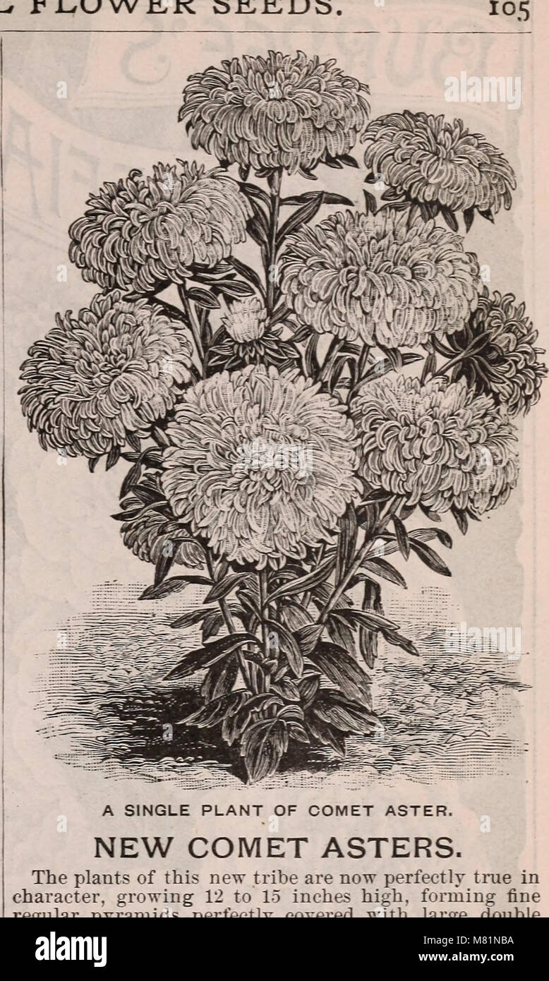 Burpee's farm annual, 1892 (1892) (20324442019 Stock Photo - Alamy