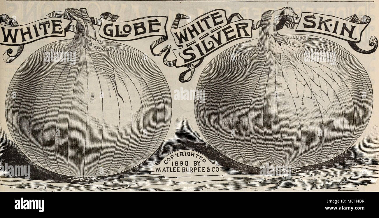 Burpee's farm annual, 1892 (1892) (20510908565 Stock Photo - Alamy