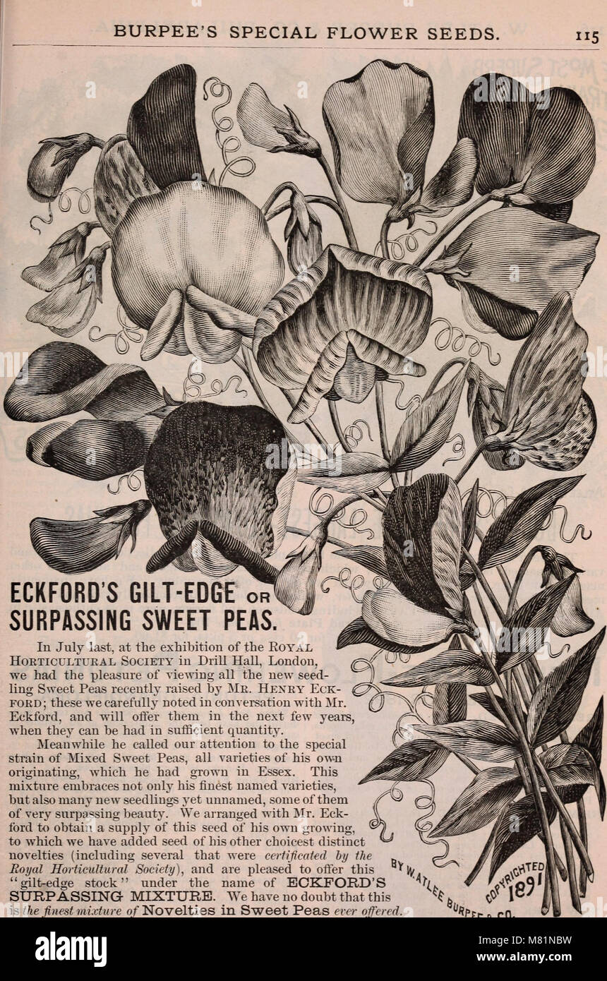 Burpee's farm annual, 1892 (1892) (20511220765 Stock Photo - Alamy