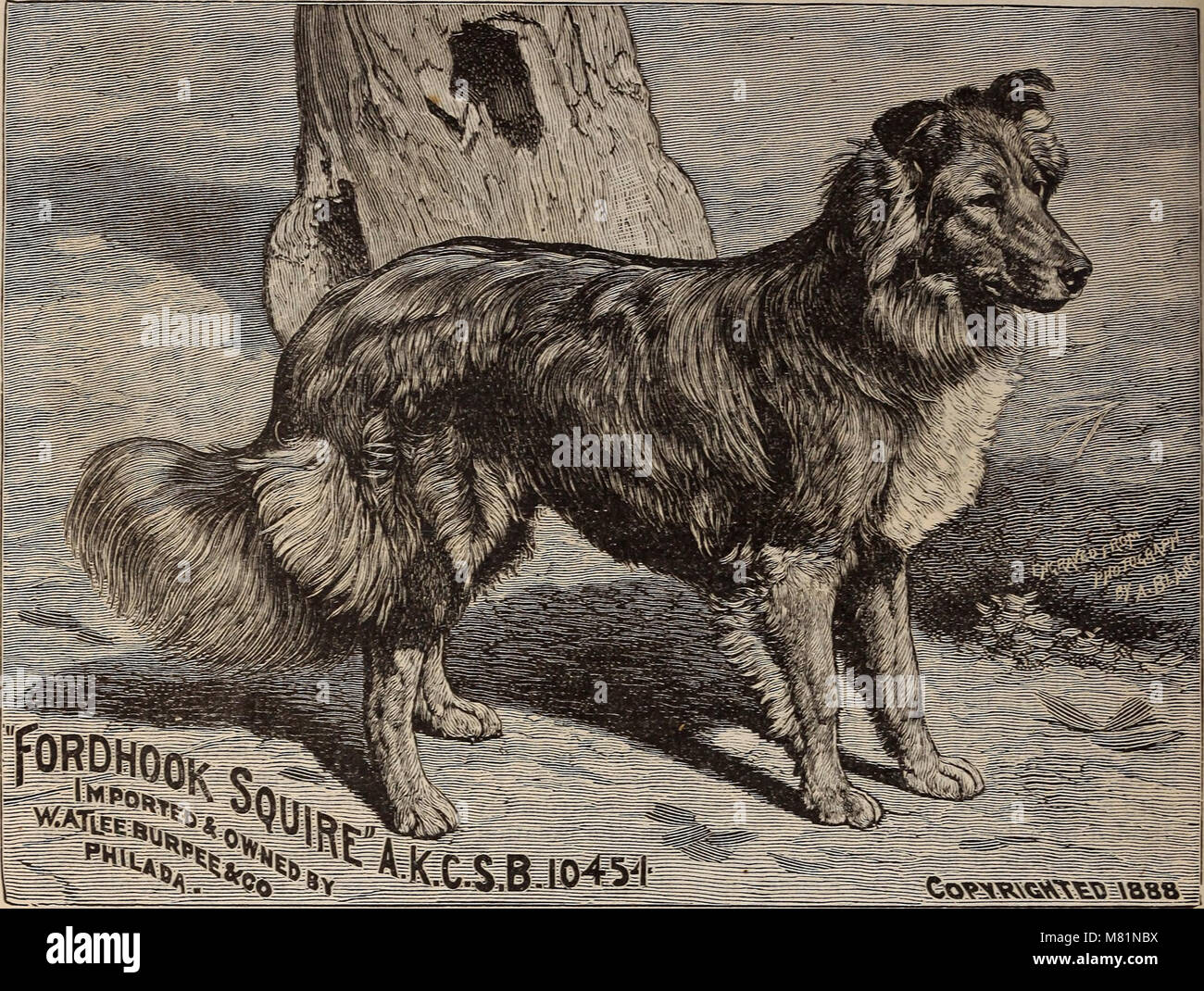 The 'Burpee's Farm Annual' of 1892 provides agricultural advice ...