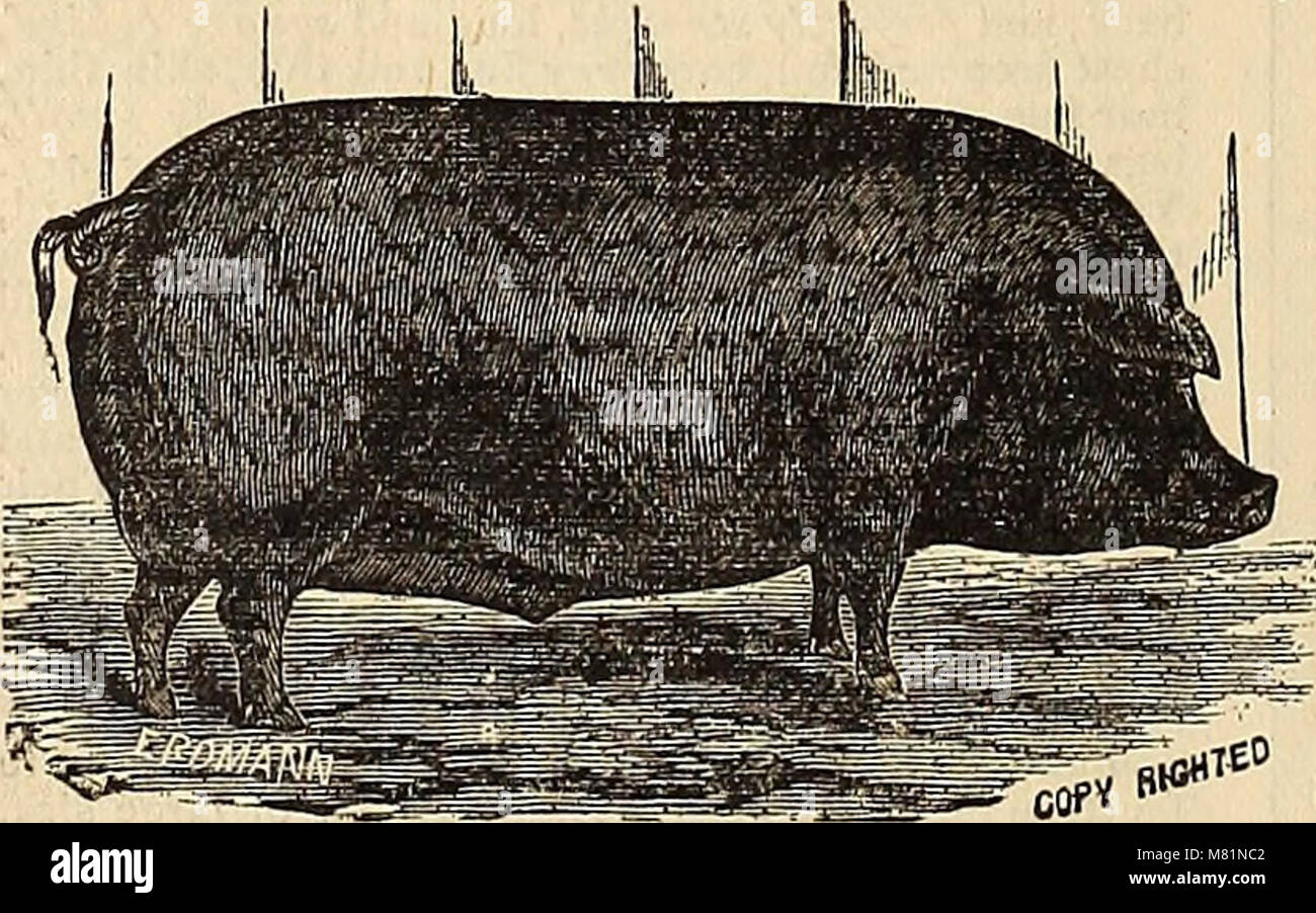 Burpee's Farm Annual from 1882, offering a guide to farming techniques ...