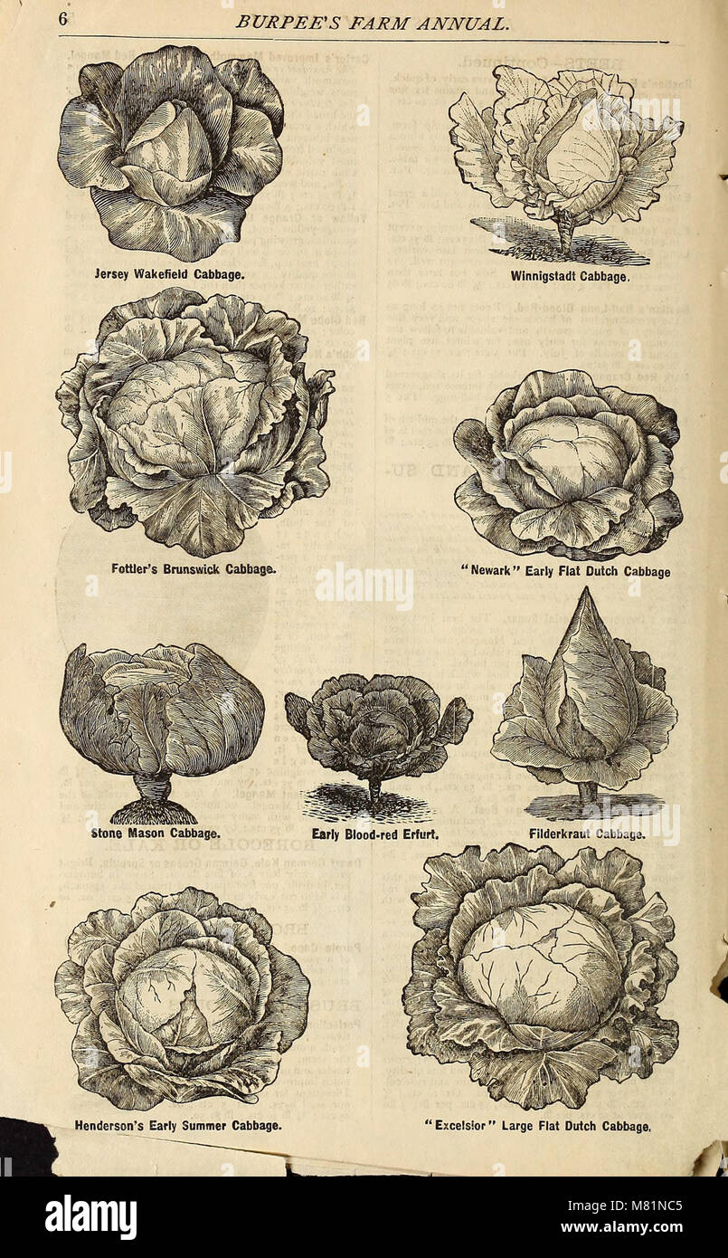 The 1882 edition of Burpee's Farm Annual provides farmers with ...