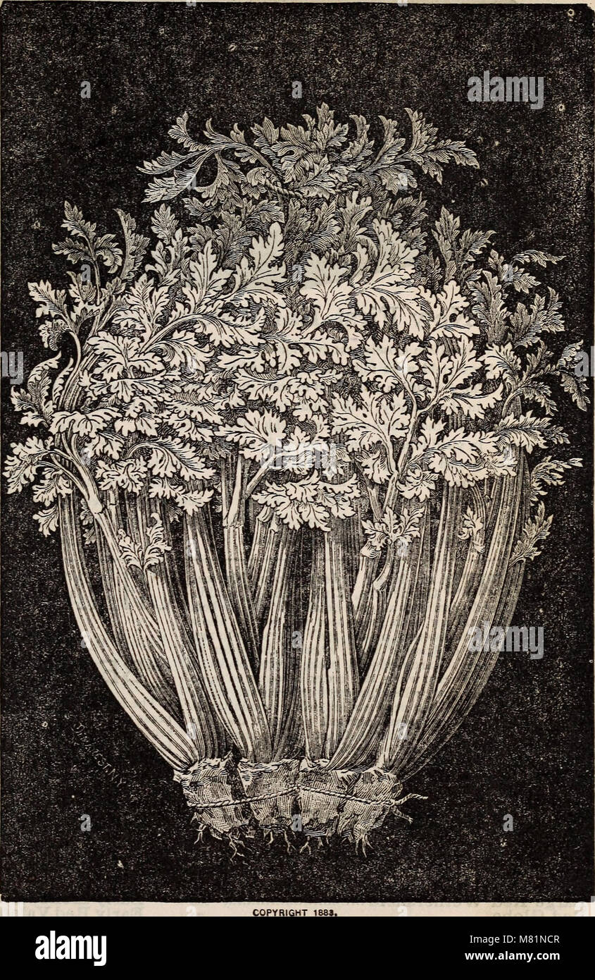 Burpee's farm annual - garden, farm, and flower seeds, thoroughbred ...