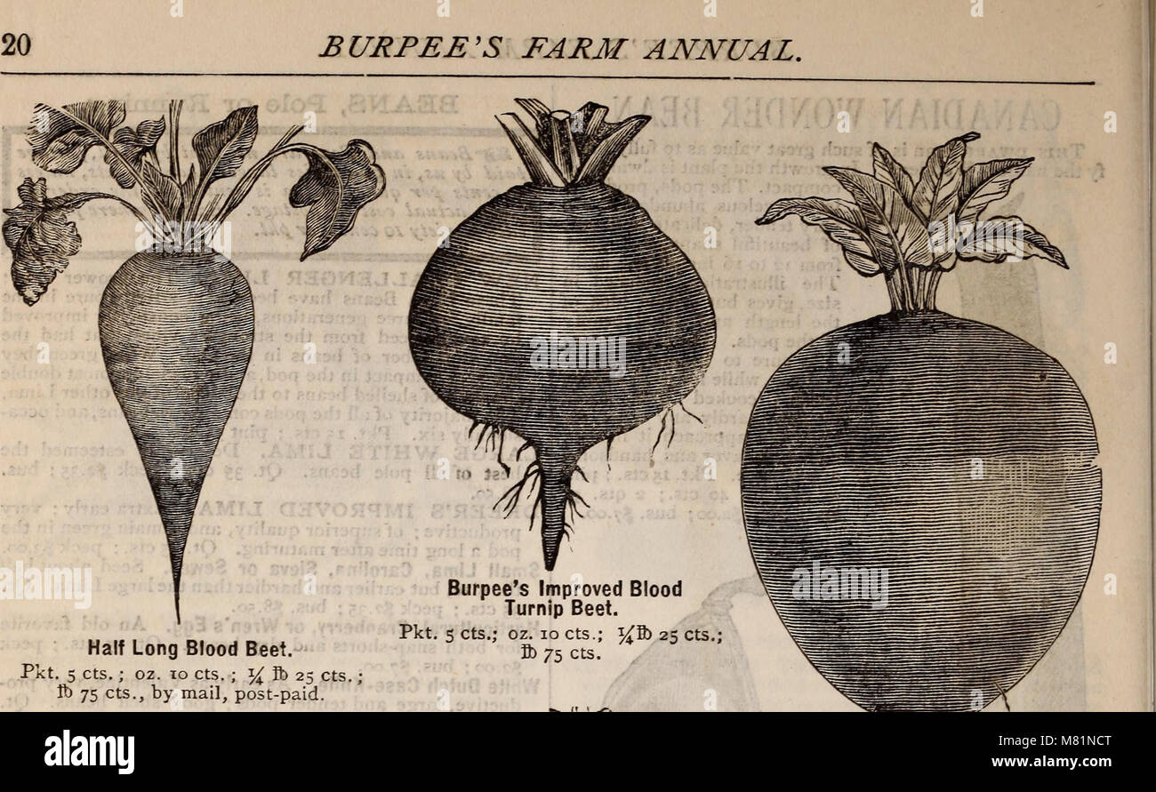 Burpee's farm annual - garden, farm, and flower seeds, thoroughbred ...
