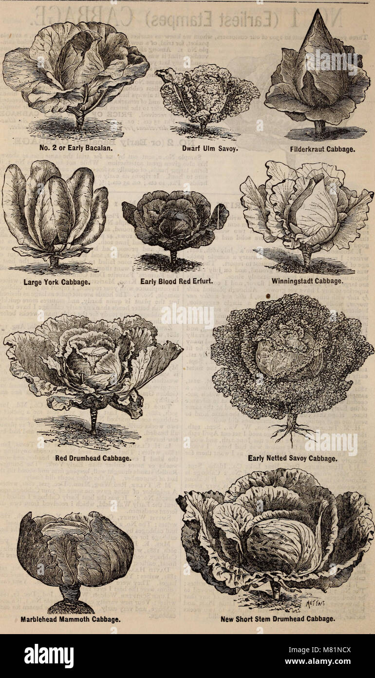 Burpee's 1884 farm annual provides a comprehensive guide on garden ...