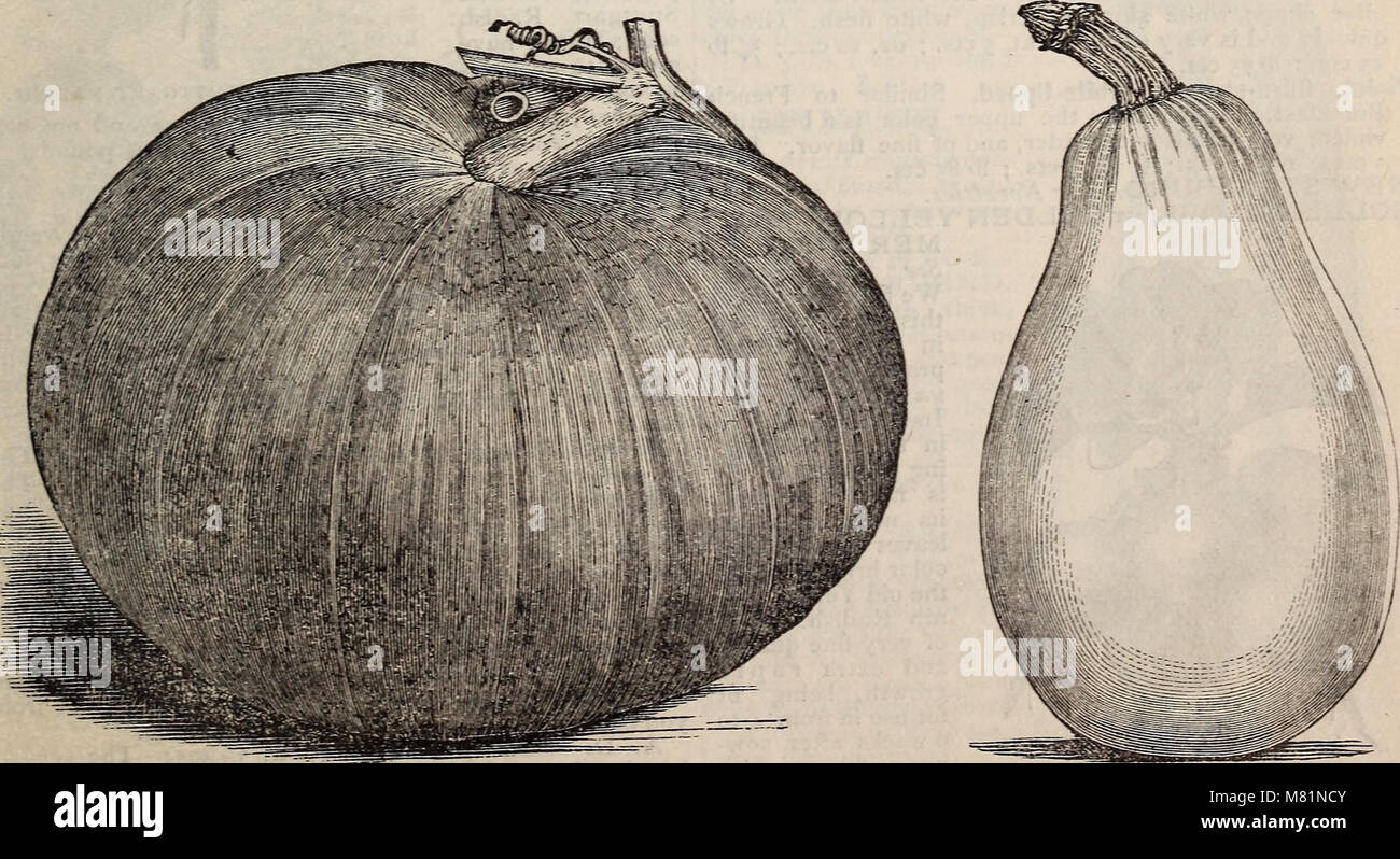 Burpee's farm annual - garden, farm, and flower seeds, thoroughbred ...