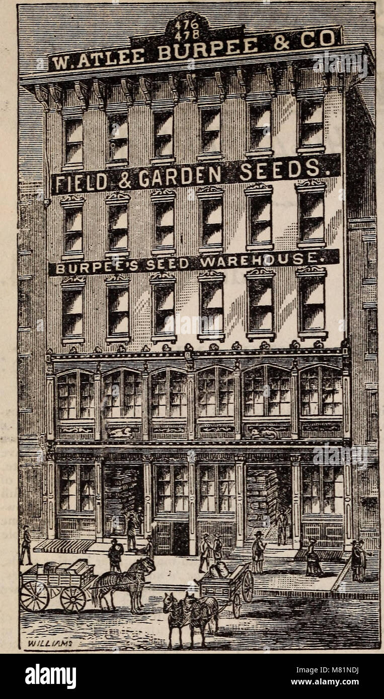 Burpees farm annual garden farm hi-res stock photography and images - Alamy