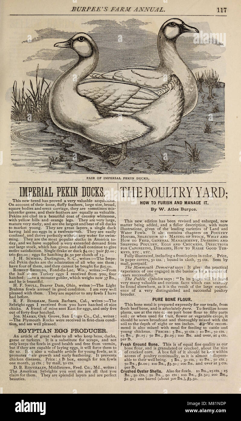 Burpee's farm annual - garden, farm, and flower seeds, thoroughbred ...