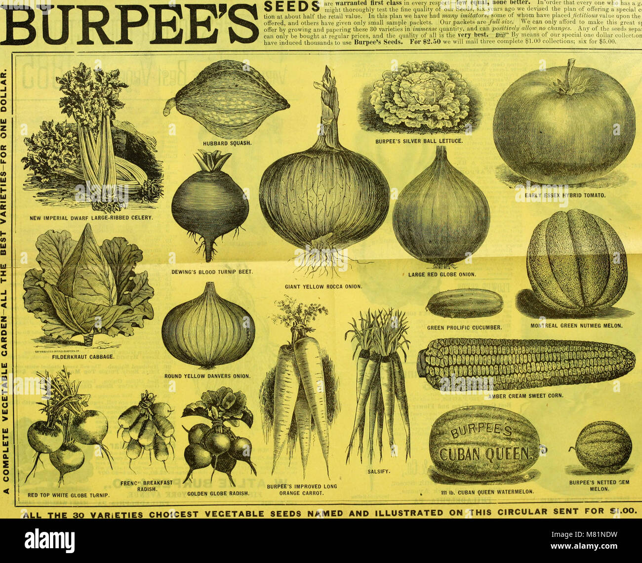 Burpee's farm annual - garden, farm, and flower seeds (1885 ...