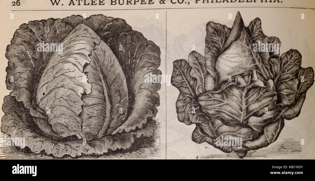 Burpee's farm annual - garden, farm, and flower seeds (1886 ...