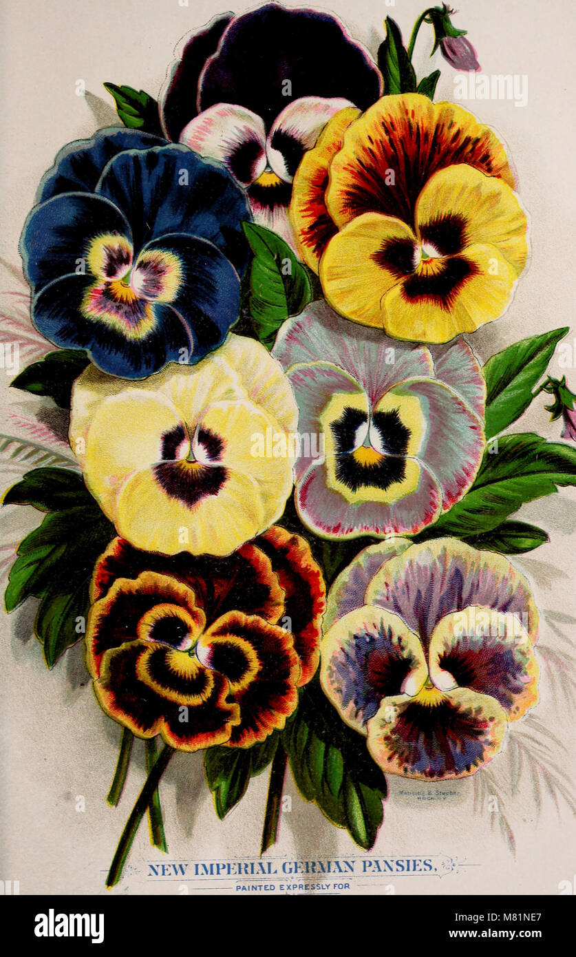 'Burpee's Farm Annual' (1886) offers a catalog of seeds for gardening ...