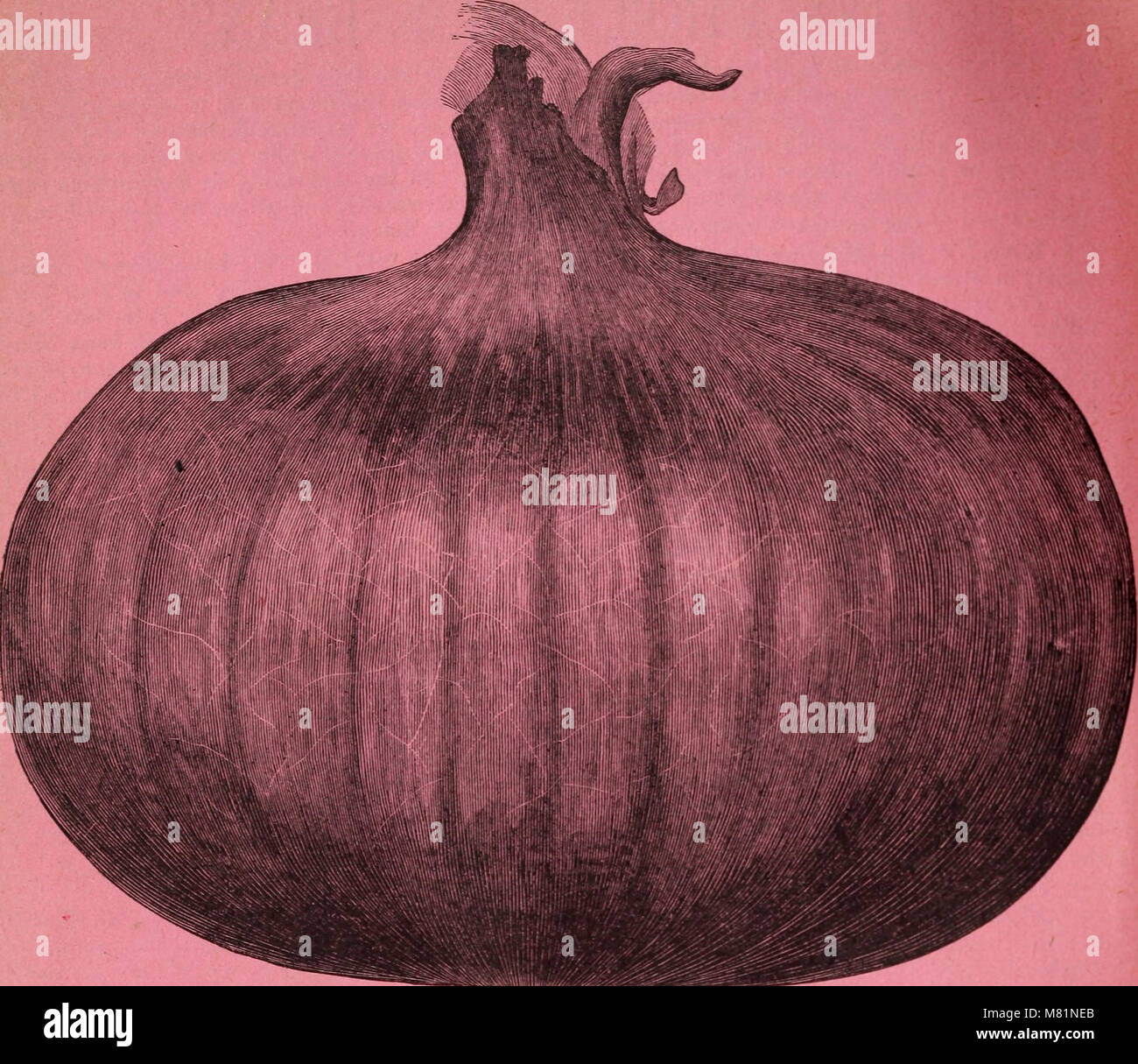 Burpee's farm annual - garden, farm, and flower seeds (1886 ...