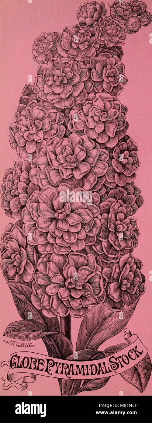 Burpee's farm annual - garden, farm, and flower seeds (1886 ...