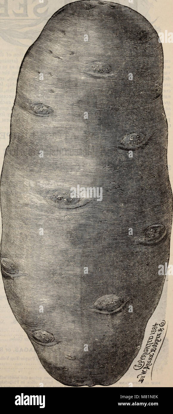 Burpee's Farm Annual offers a comprehensive selection of seeds for ...