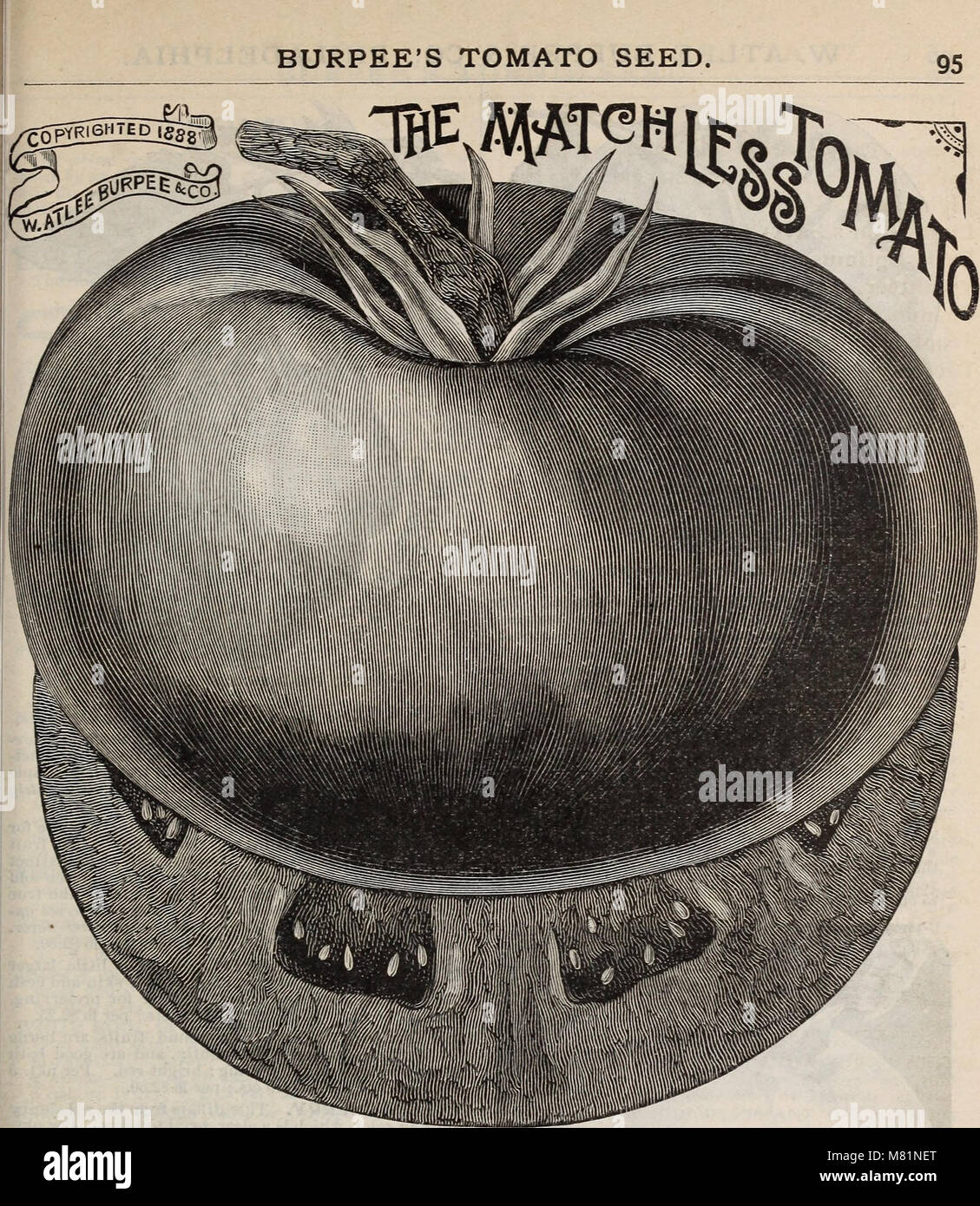 Burpees farm annual best seeds hi-res stock photography and images - Alamy