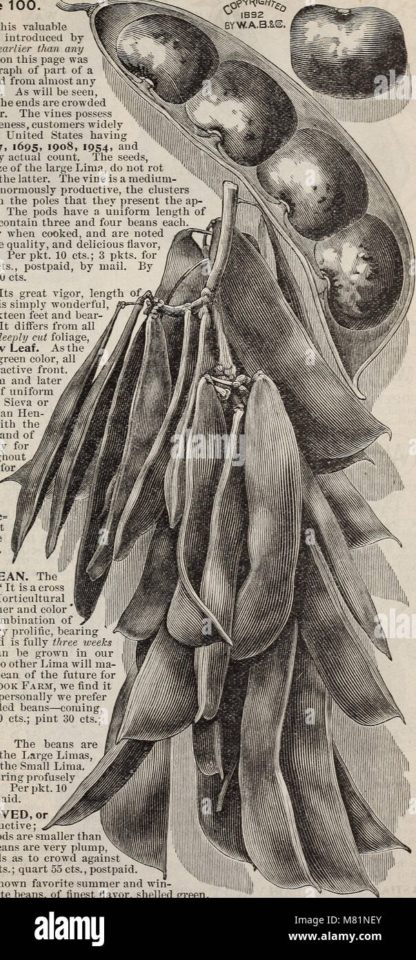 *Burpee's Farm Annual* (1895) highlights the best seeds for various ...