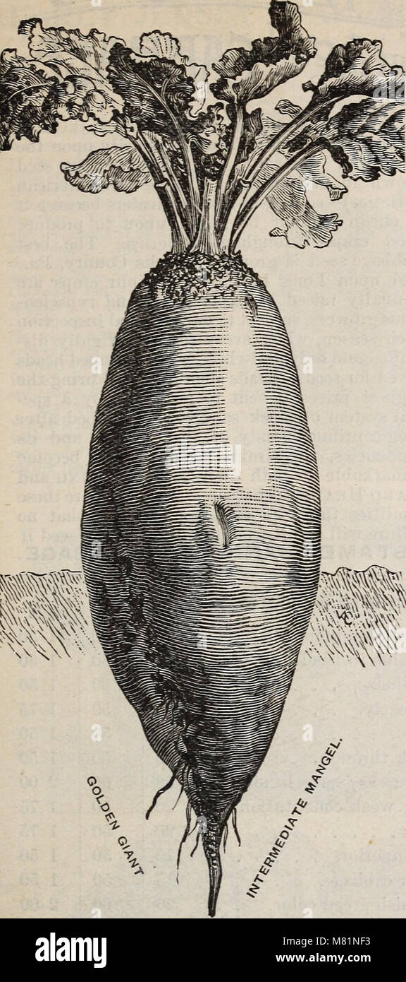 The 1895 *Burpee's Farm Annual* offers a collection of high-quality ...