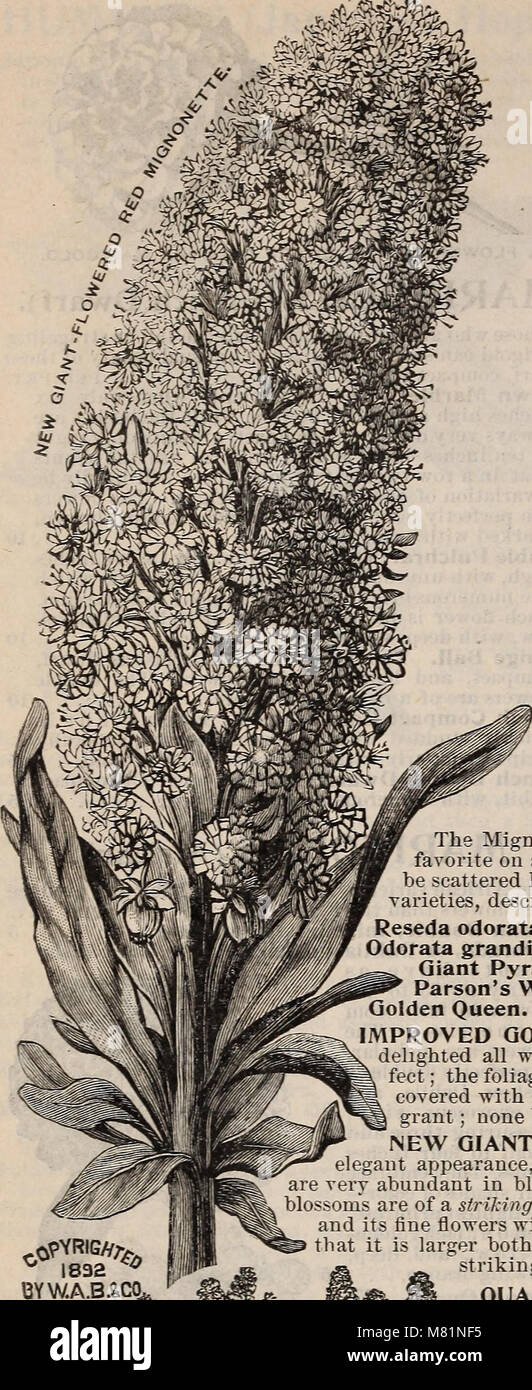 Burpee's farm annual - the best seeds that grow including rare ...