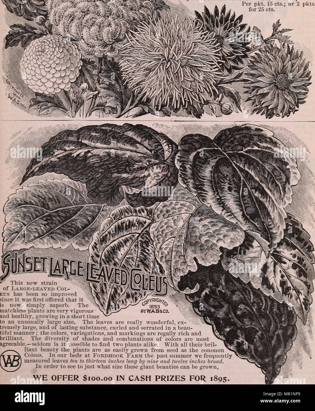 'Burpee's Farm Annual' (1895) provides a catalog of high-quality seeds ...
