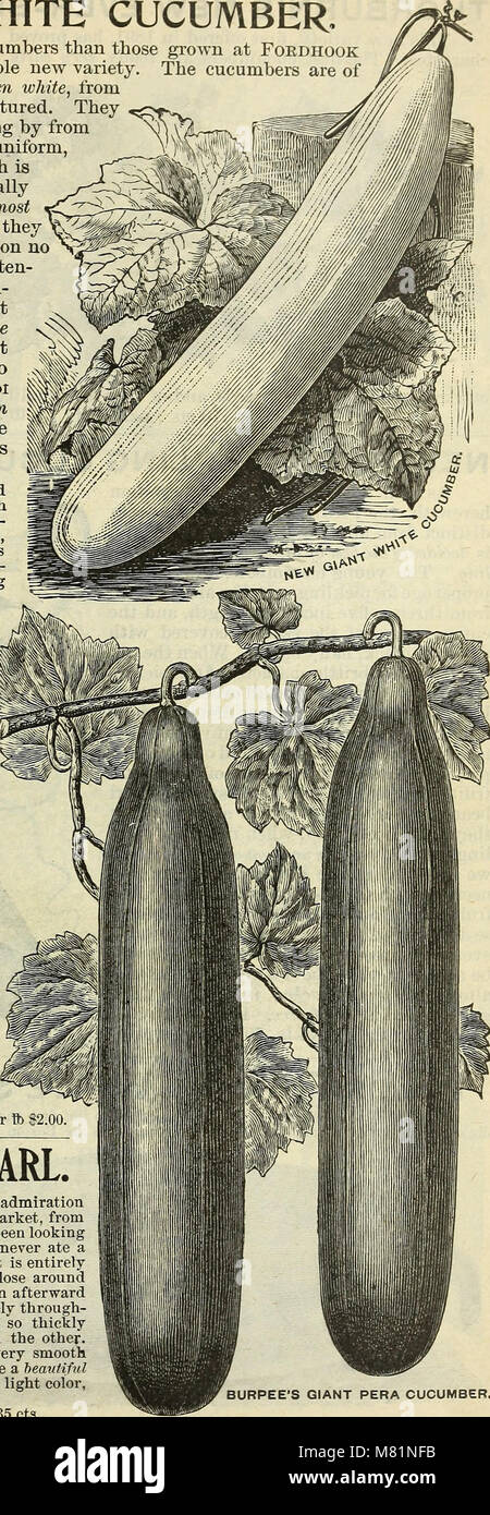 Burpee's Farm Annual from 1893 offers a guide to farming techniques ...