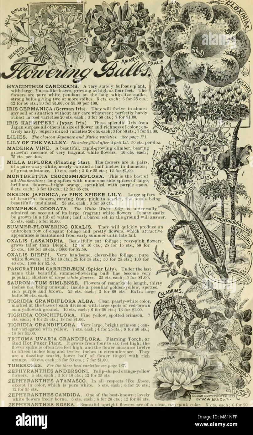 Burpee's Farm Annual (1894) is a gardening catalog offering a variety ...