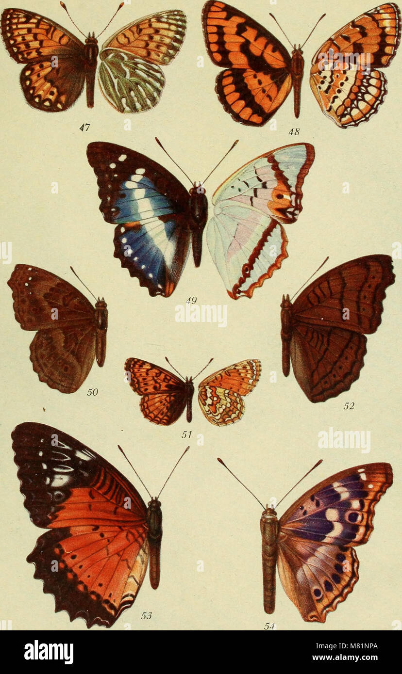 'Butterflies, Vol. I-II' (1907) presents a comprehensive study of various butterfly species. The ...