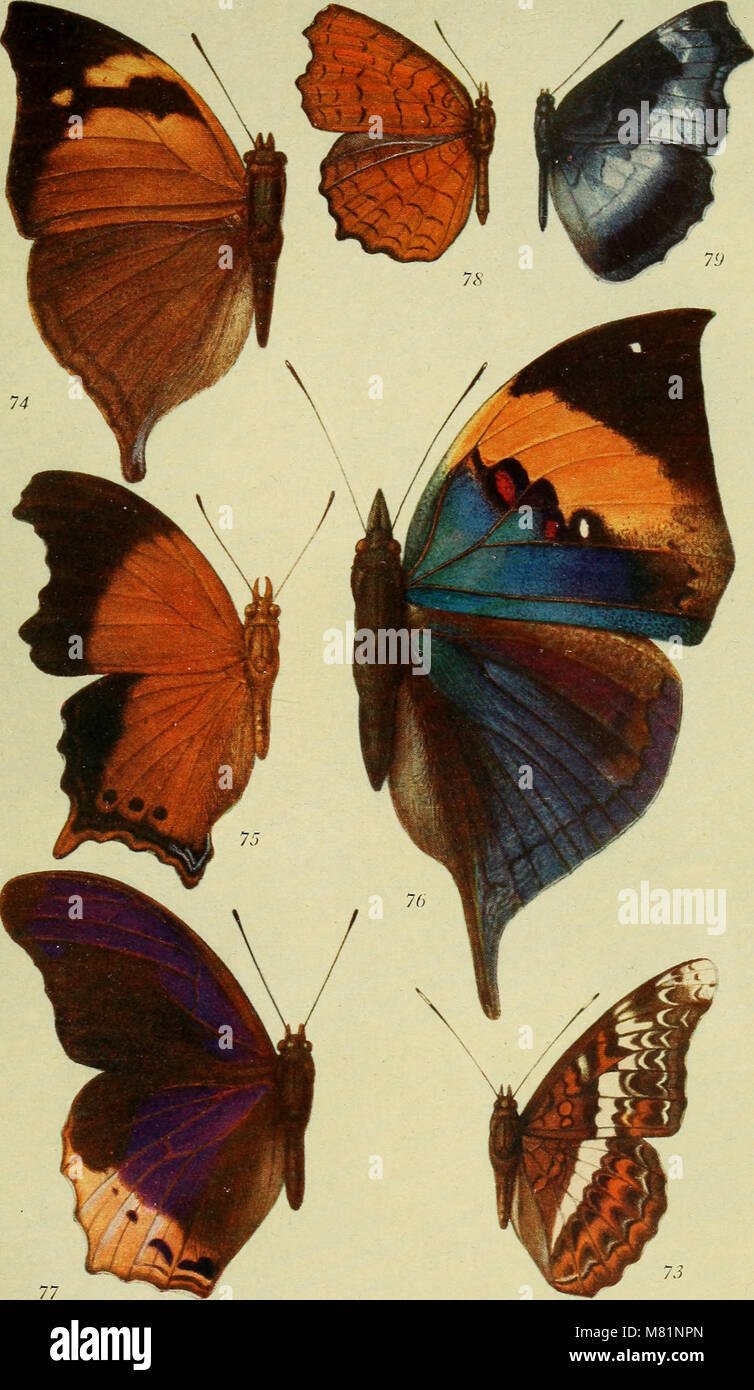 *Butterflies, Vol. I-II* (1907) covers a comprehensive study of ...