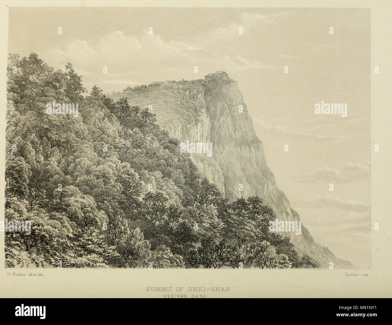 'Butterflies from China, Japan, and Corea' (1892) is a study of ...