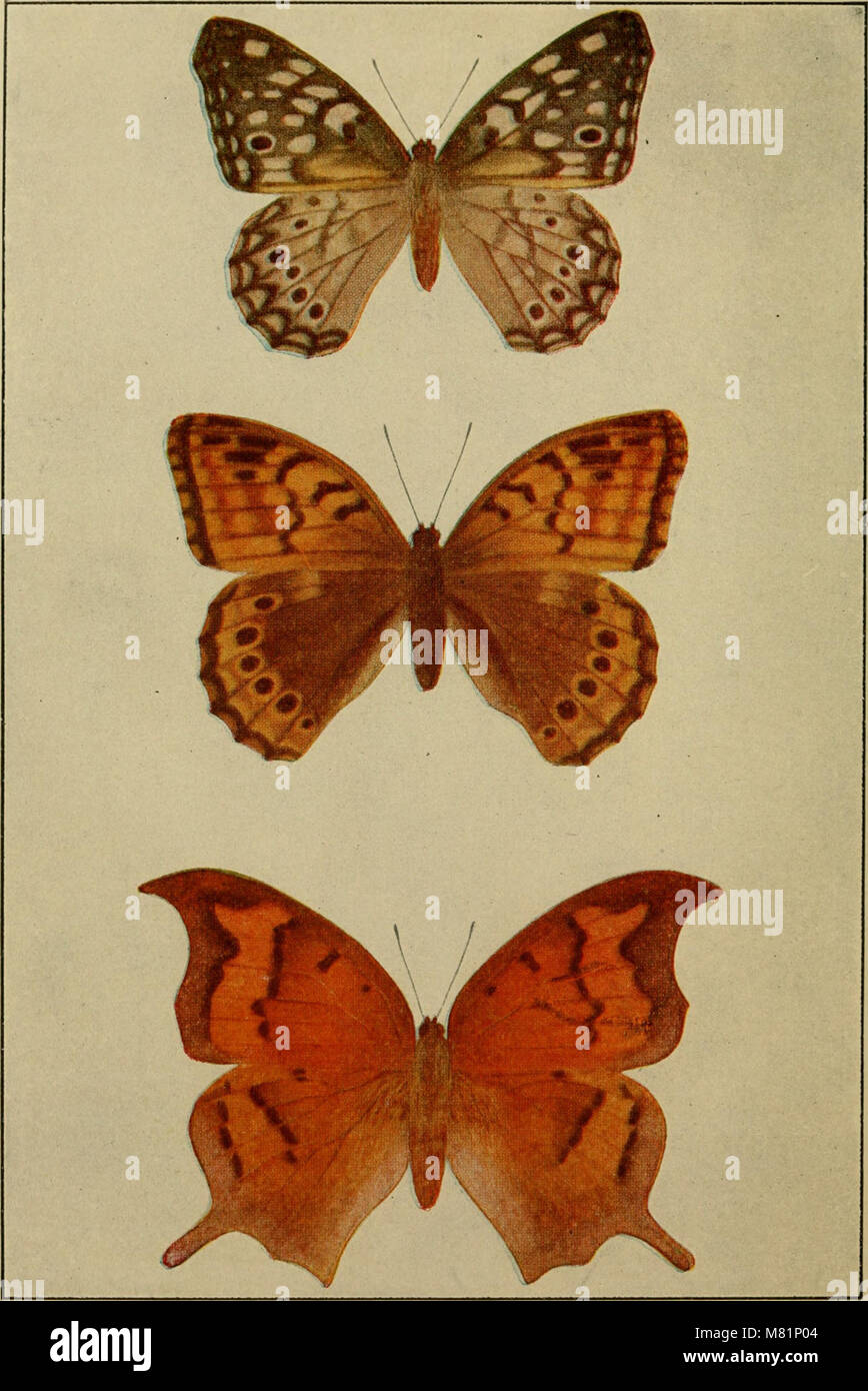 Identifying different types hi-res stock photography and images - Alamy