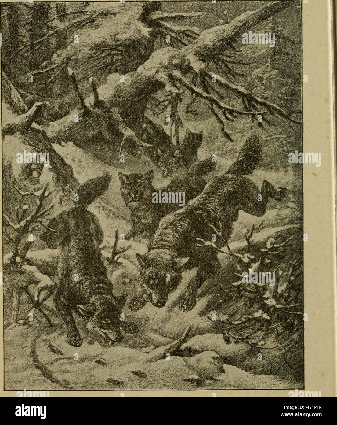 Buzzacott's masterpiece; (1913) (20324291658 Stock Photo - Alamy