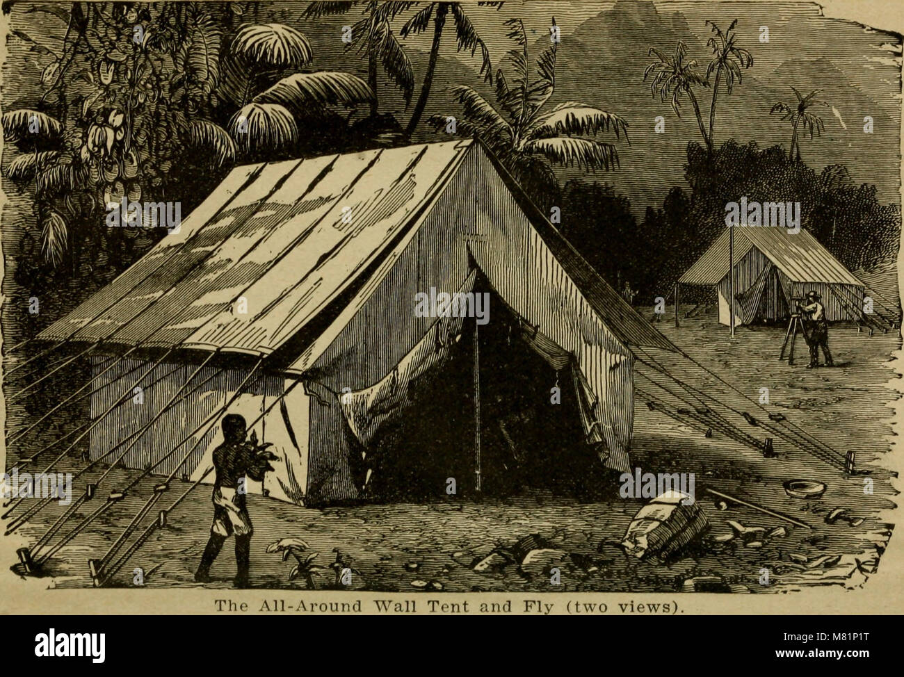 Buzzacottâ€™s 1913 masterpiece is a notable work, offering artistic and ...