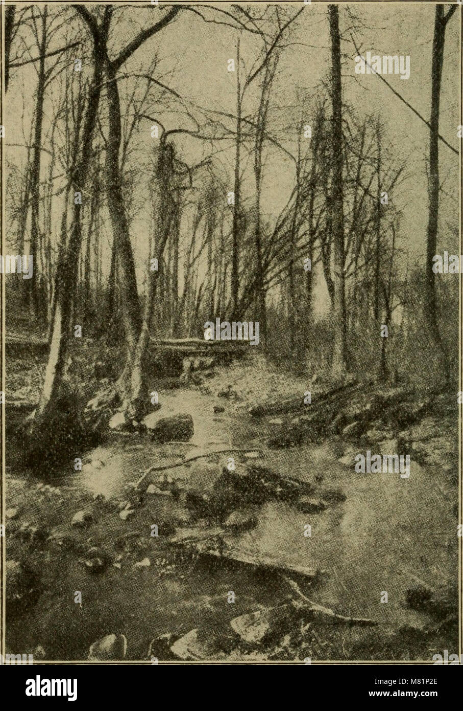 Buzzacott's Masterpiece, published in 1913, is a work that showcases ...