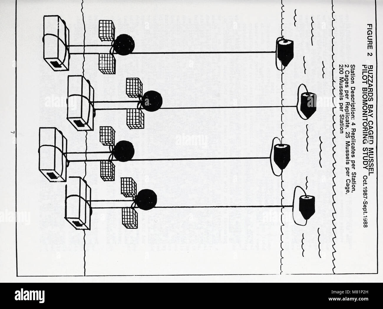 Buzzards Bay caged mussel pilot biomonitoring study, 1987-1988 (1990 ...