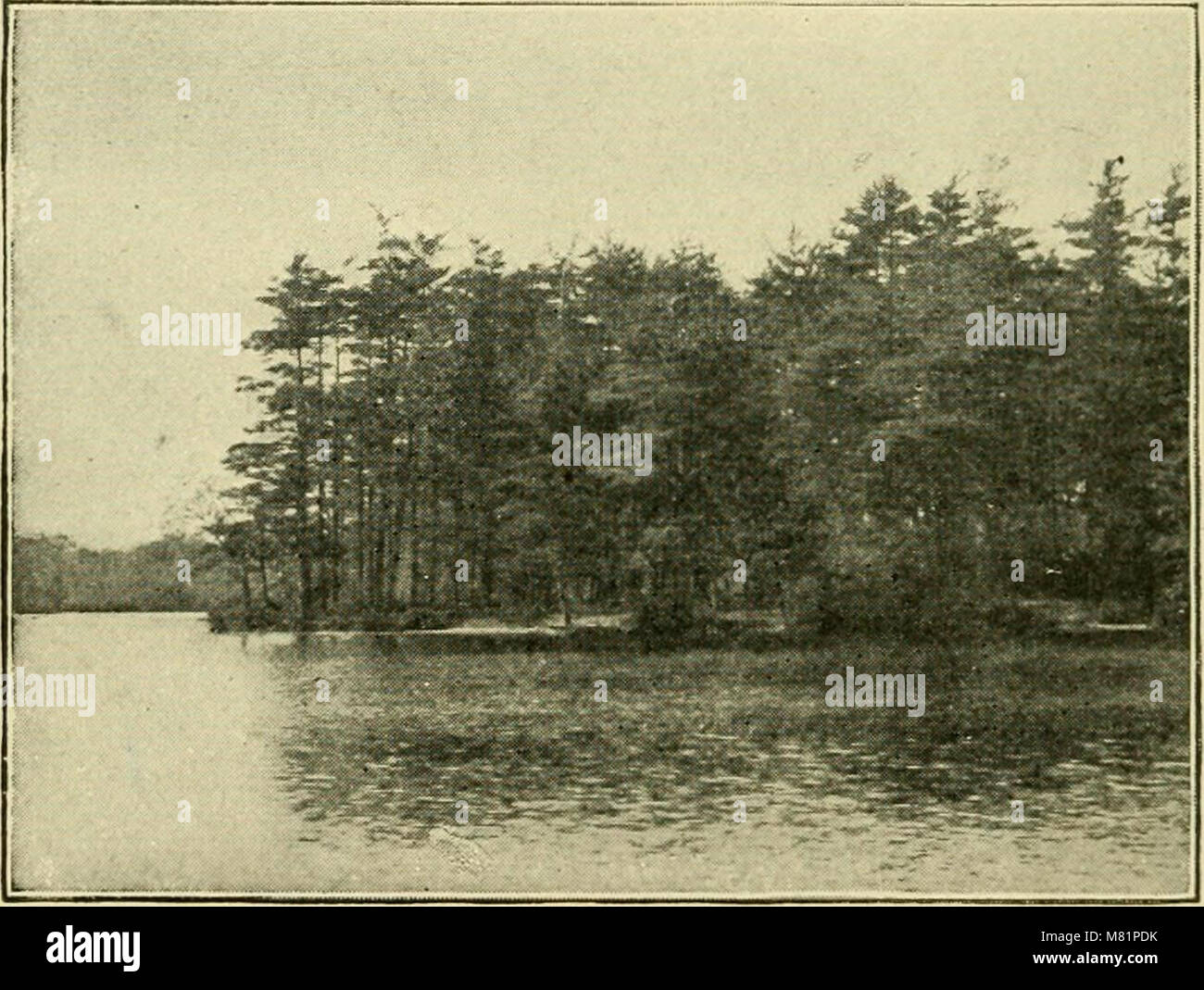 This 1904 publication describes a journey through Eastern New England ...