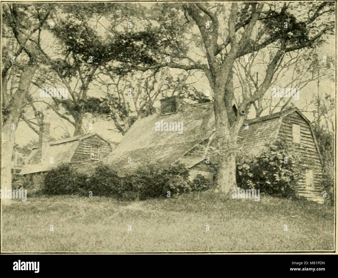 This 1904 guide provides a scenic journey through Eastern New England ...