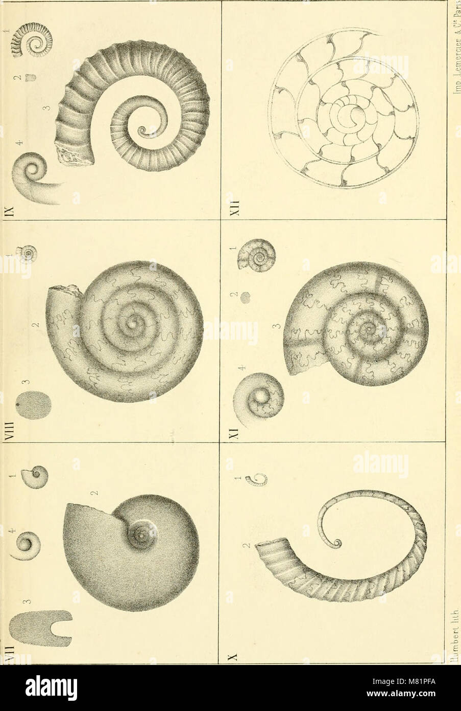 'Céphalopodes' (1877) provides an in-depth study of cephalopods ...