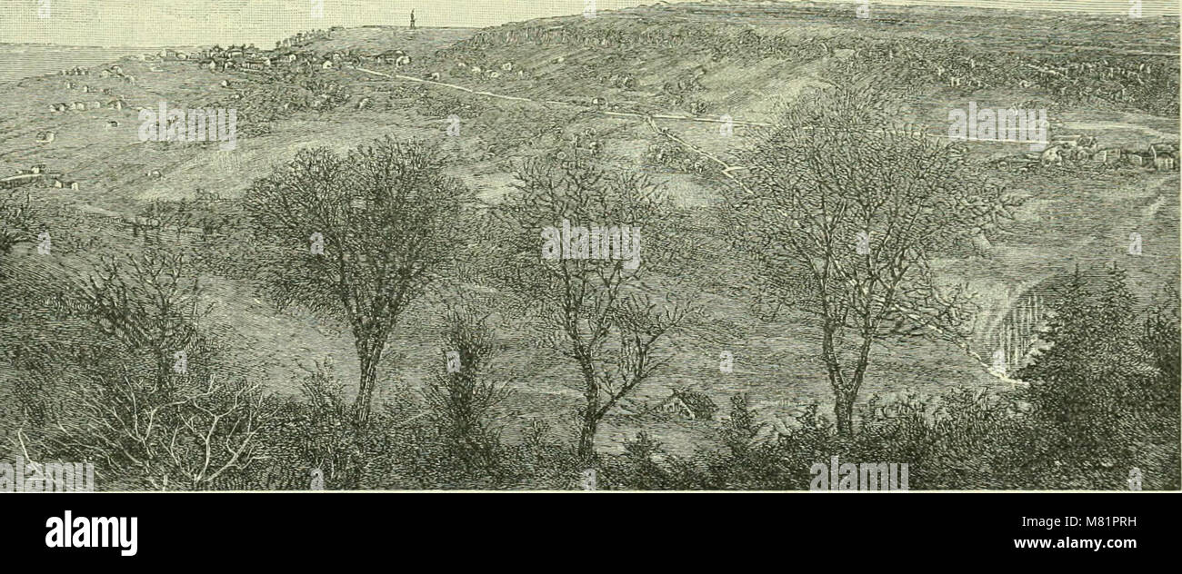 This edition of Caesar's Gallic War (1898) provides a detailed account ...