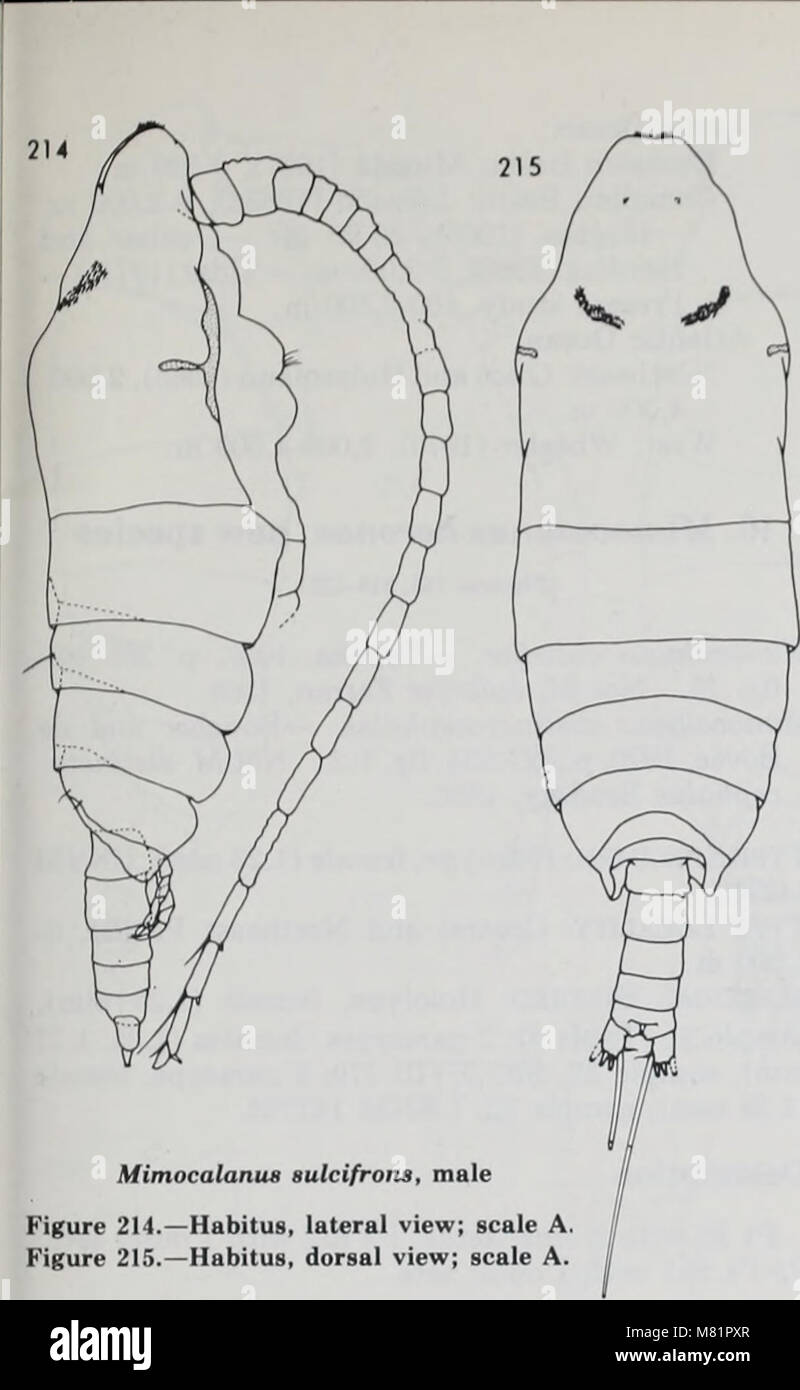 Calanoid copepods of the genera Spinocalanus and Mimocalanus from the ...