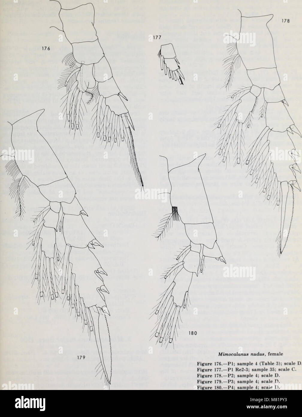 David damkaer hi-res stock photography and images - Alamy