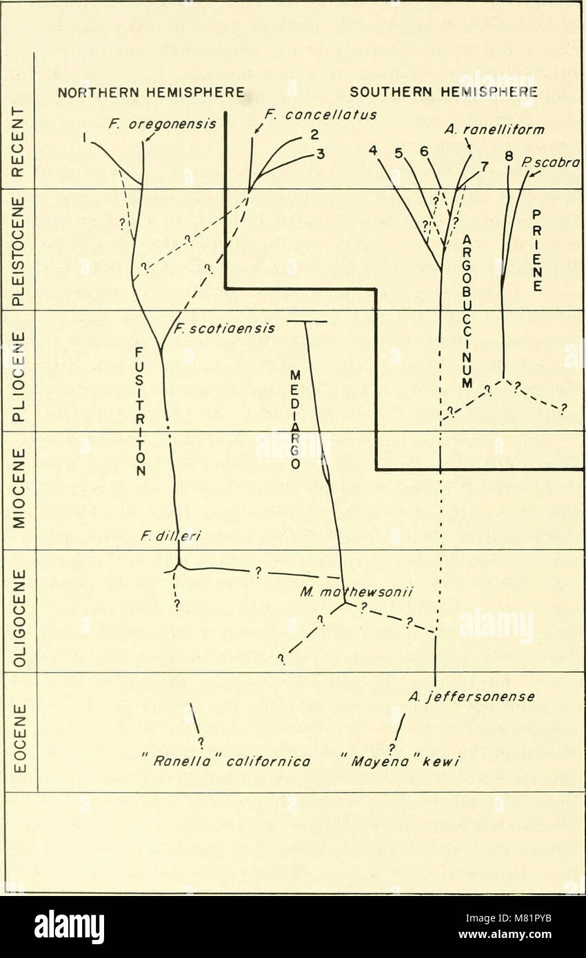 The 1895 Bulletin of American Paleontology features research on fossils ...