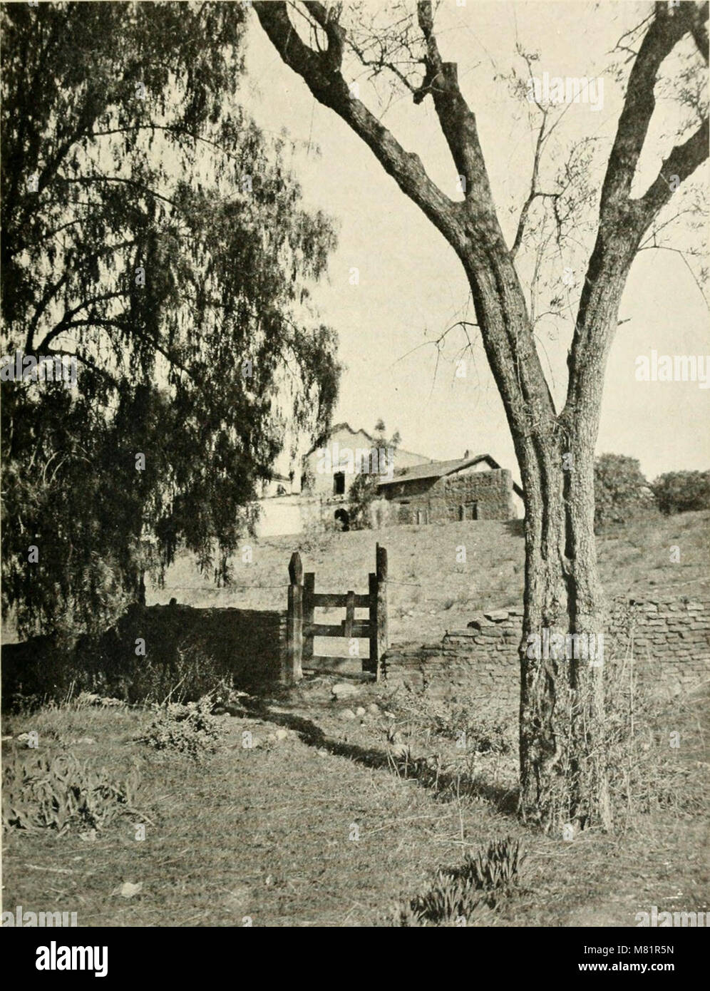This guide explores the history and significance of California's old ...