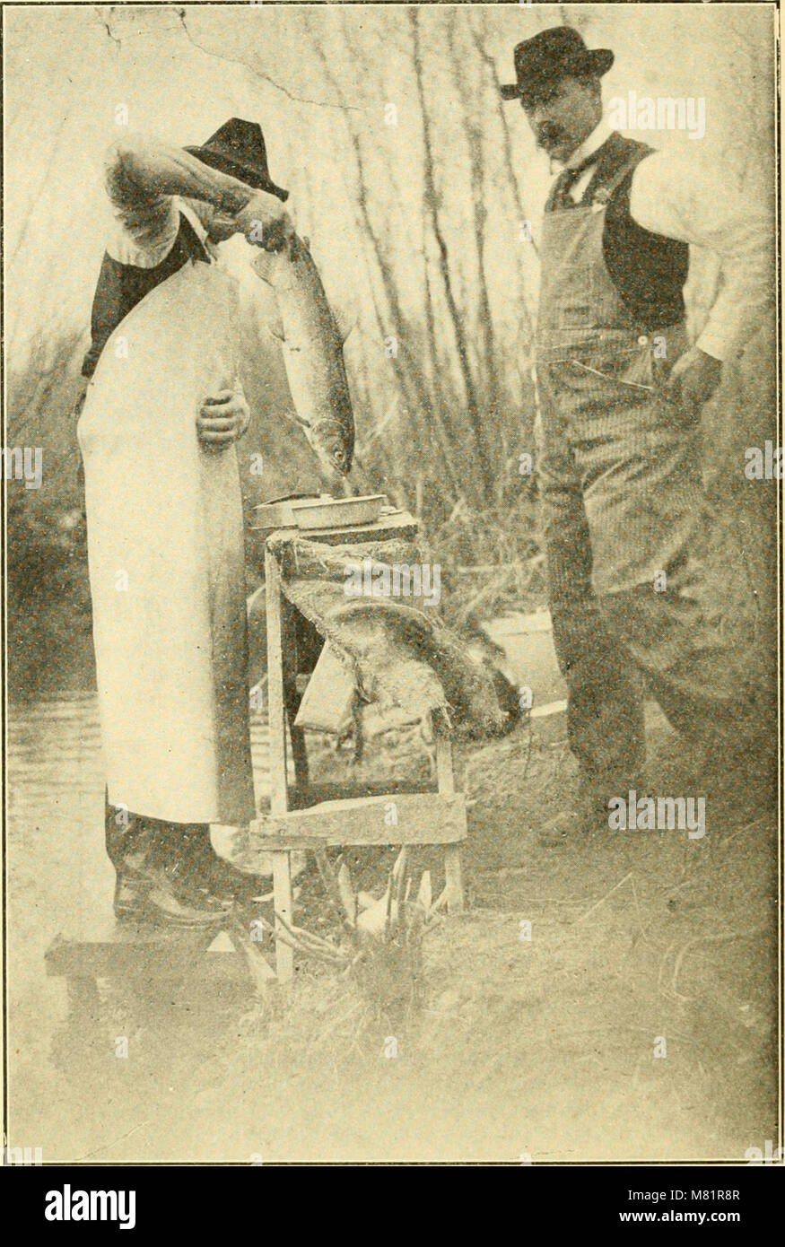 *California Fish and Game* (1922) provides regulatory information on ...