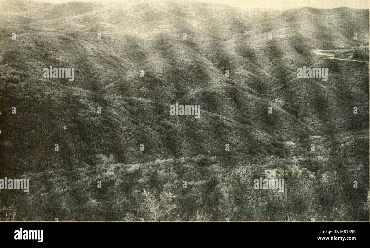 California fish and game (19890404654 Stock Photo - Alamy