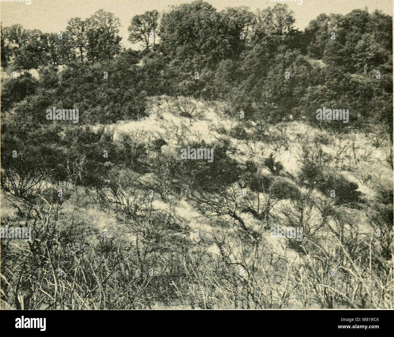 California fish and game (19892186693 Stock Photo - Alamy