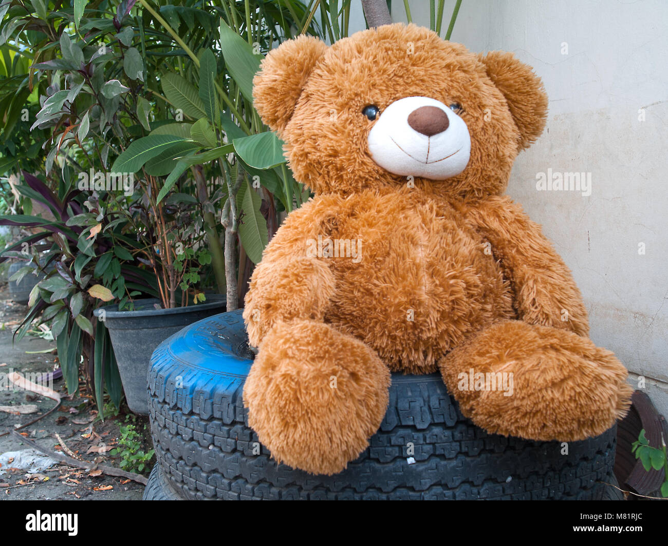 Old teddy bear torn hi-res stock photography and images - Alamy