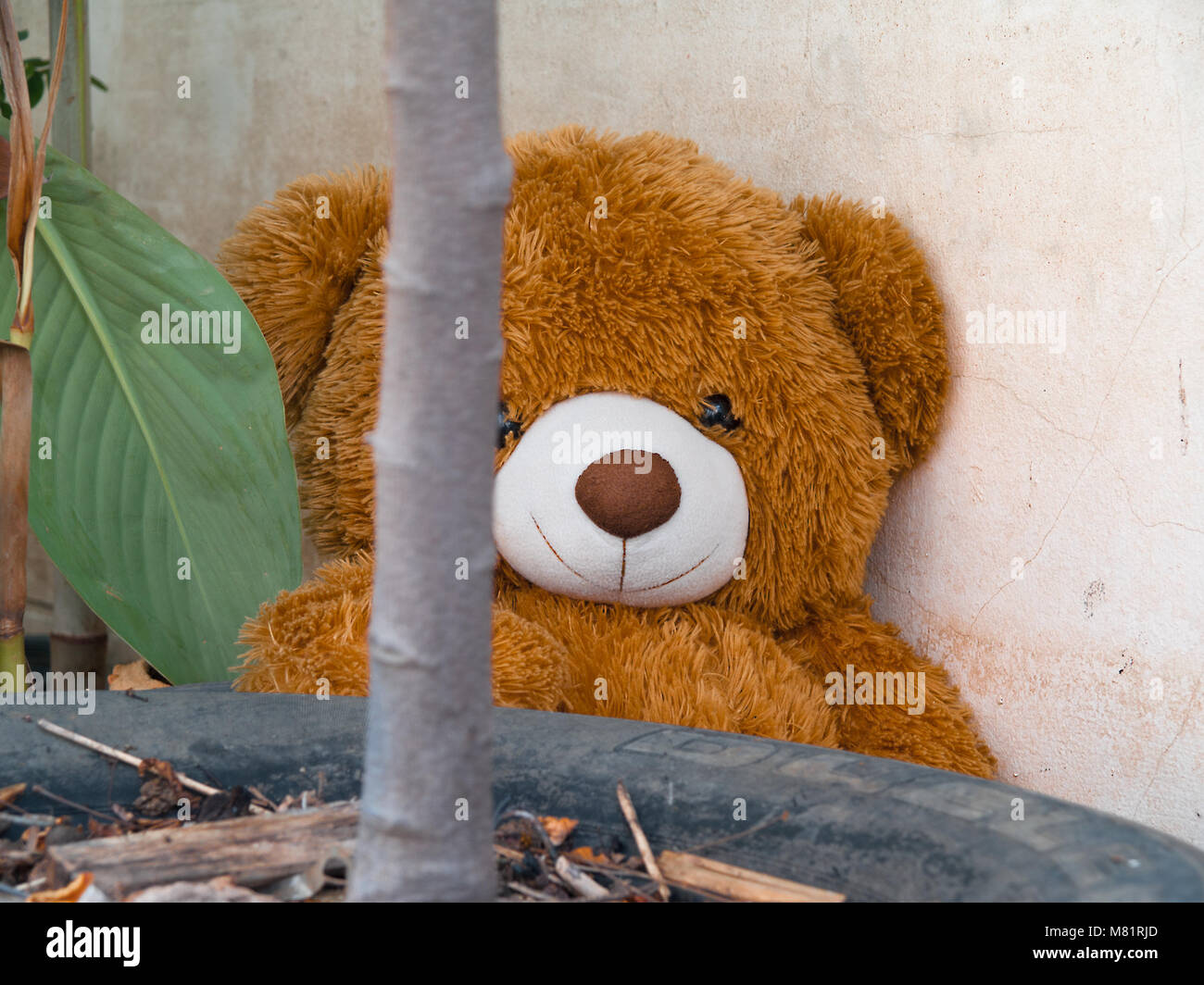 Old teddy bear torn hi-res stock photography and images - Alamy